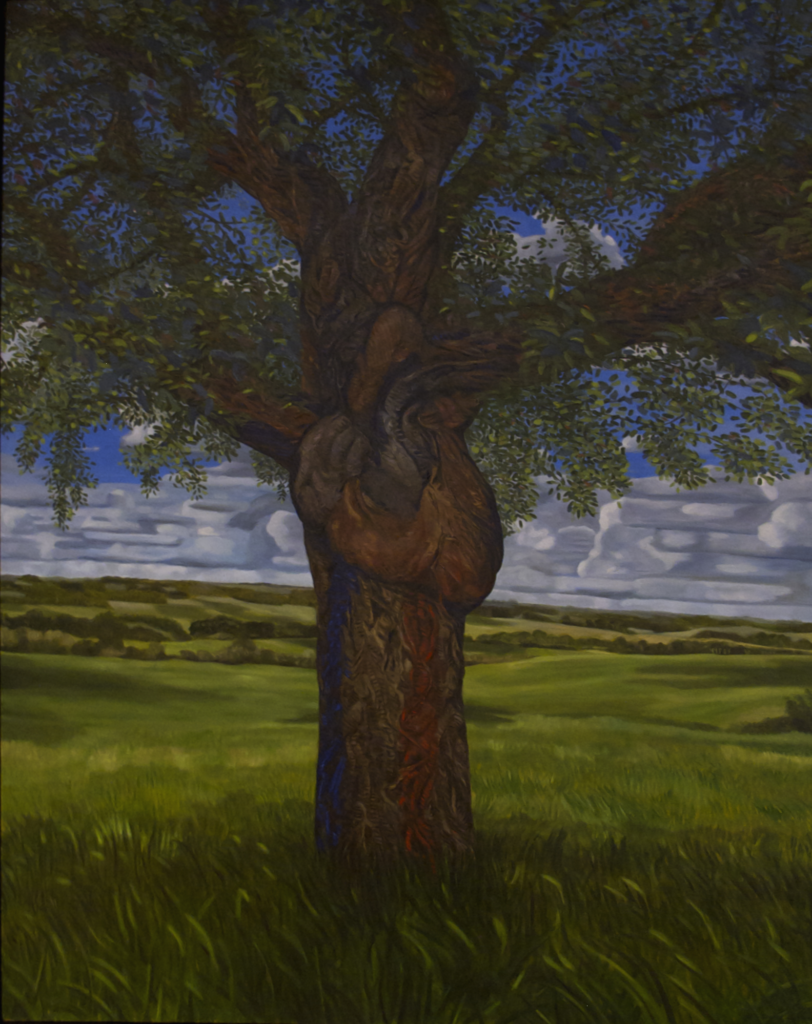 David Garneau – Art on campus